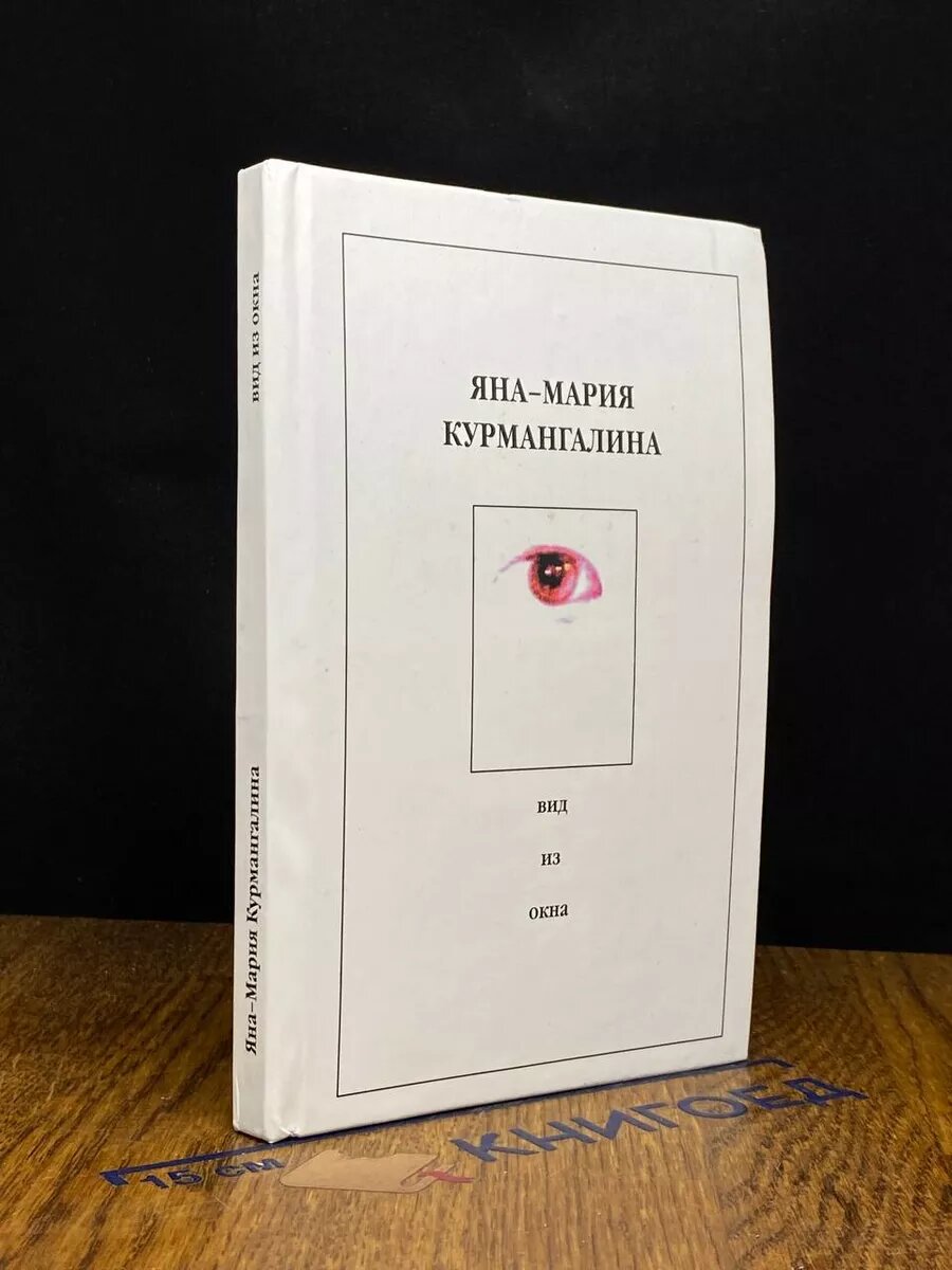 Книга. Вид из окна 2008 (2040928074156)
