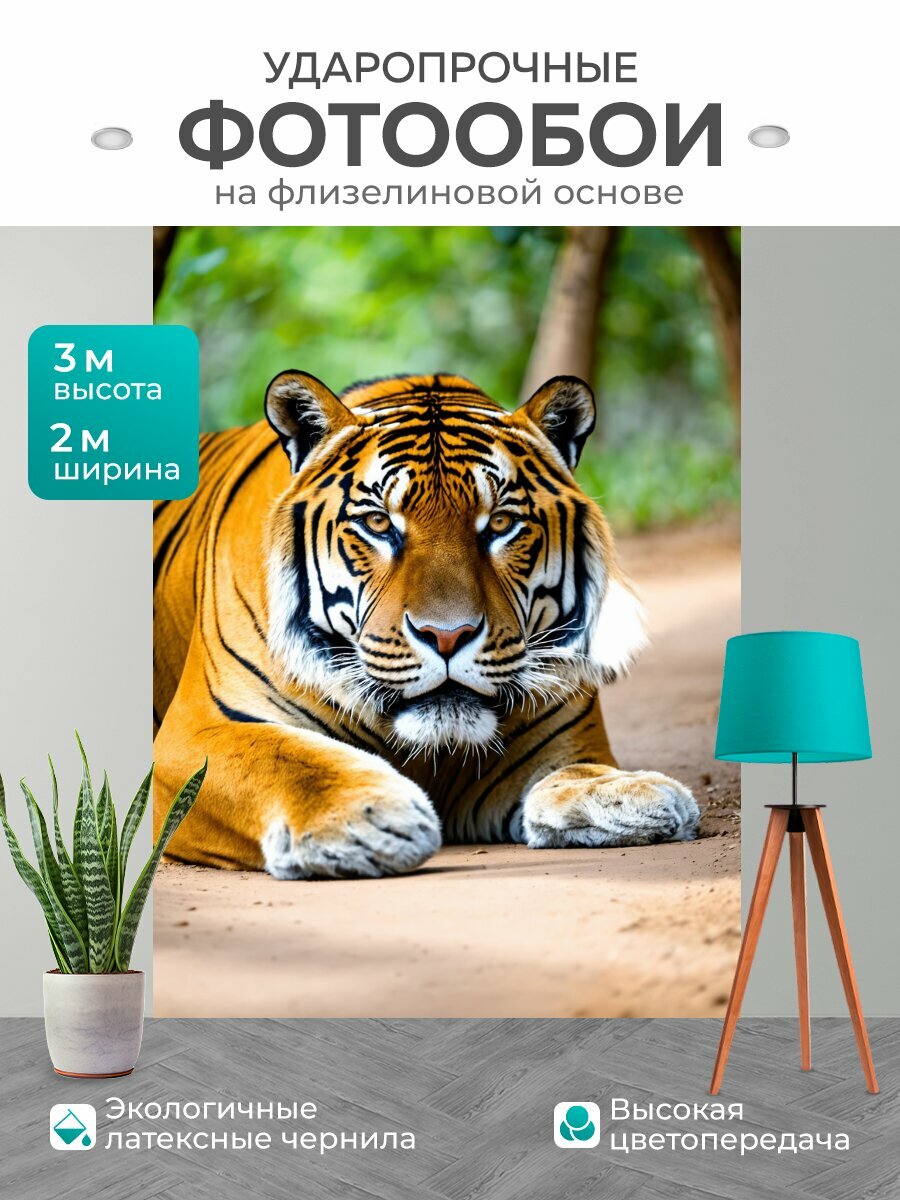 Фотообои моющиеся ударопрочные "Тигр, уставший после охоты, лежащий в тени" 200x300 см. флизелиновые на стену