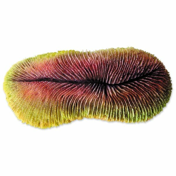 Laguna Коралл искусственный 264KA "Фунгия", 20,5*9*6см