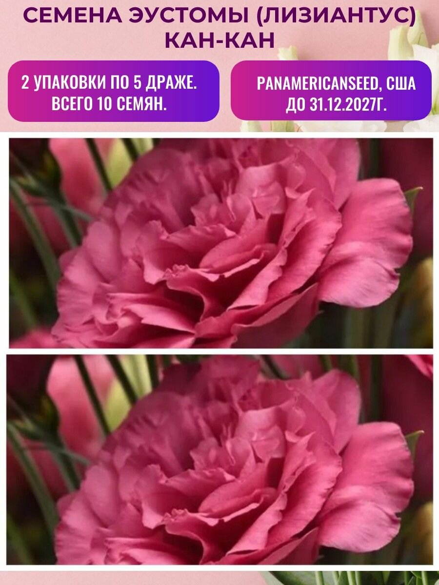 Эустома Кан-Кан, 2 упаковки по 5 драже.