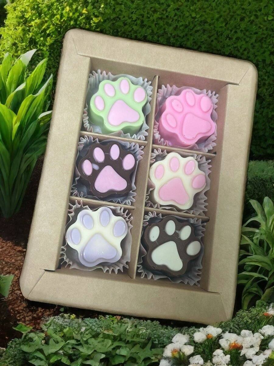 Подарочный шоколадный набор "Тапа Лапка Бельги", 6 фигурок, молочный шоколад, белый