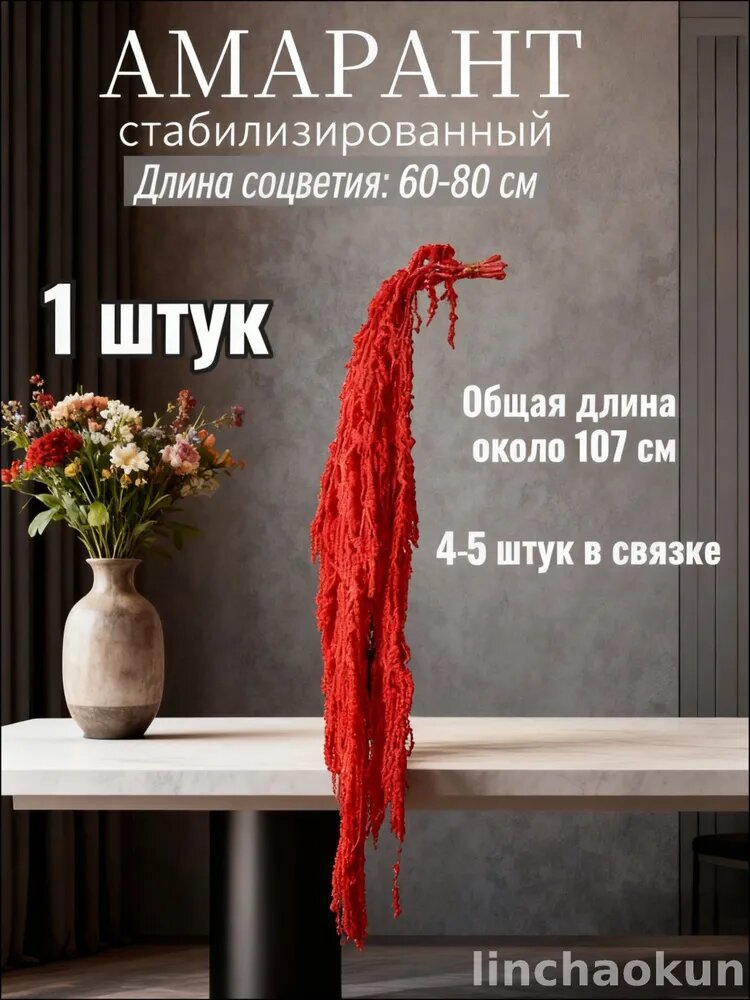 Стабилизированные цветы Амарант, 80 см, 300 гр, 1 шт