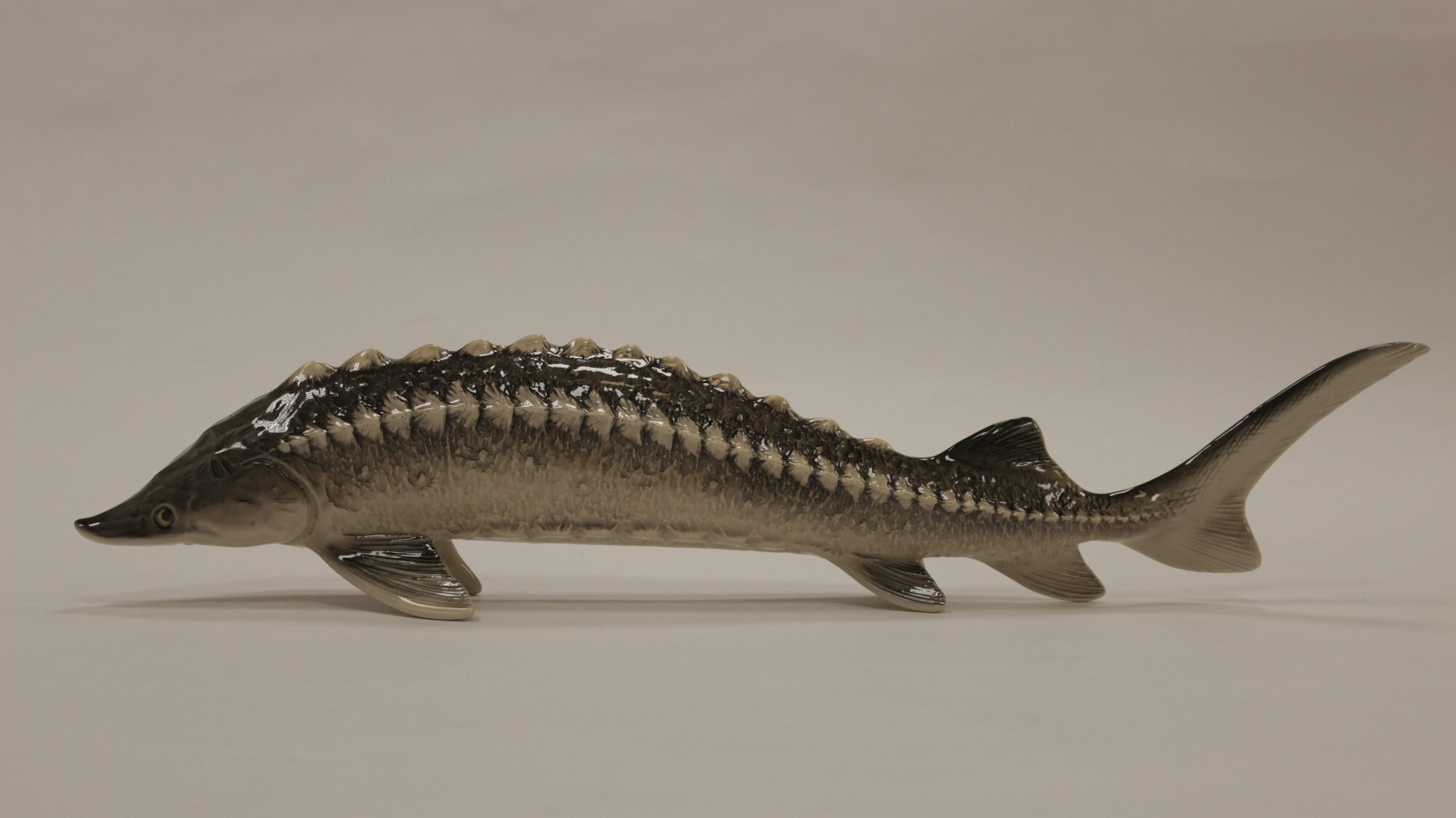 Осётр (настенный) Фарфоровая фигурка Сциталис