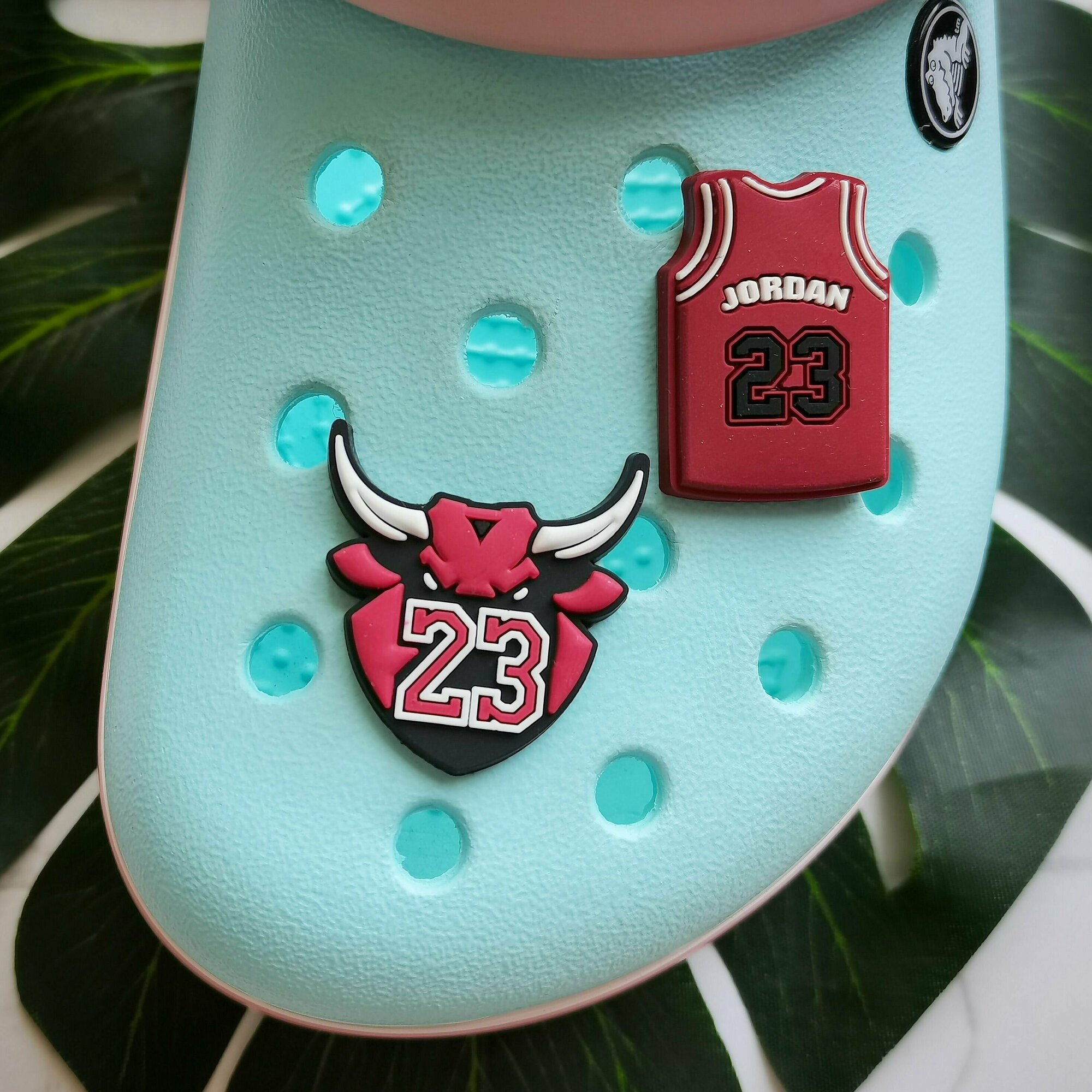 Джибитсы баскетбол 23