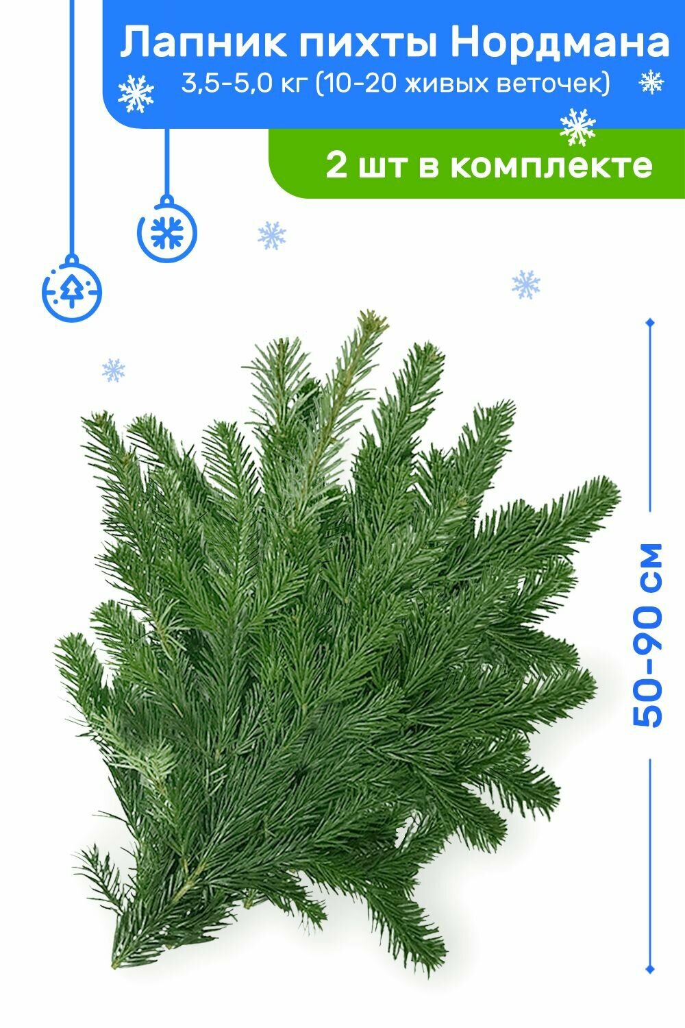 Лапник пихты Нордмана банч 3,5-5,0 кг (10-20 живых веточек), комплект из 2 шт
