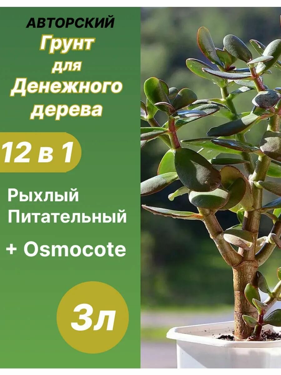 Грунт для Денежного дерева 3л готовый