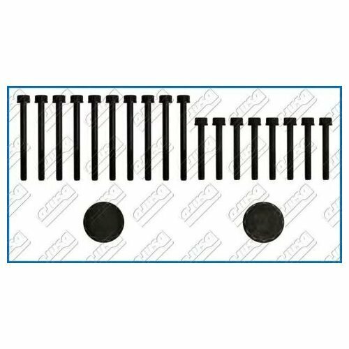 Комплект болтов ГБЦ Ajusa 81035300 для Hyundai Terracan, TERRACAN HP; Kia Carnival I, II