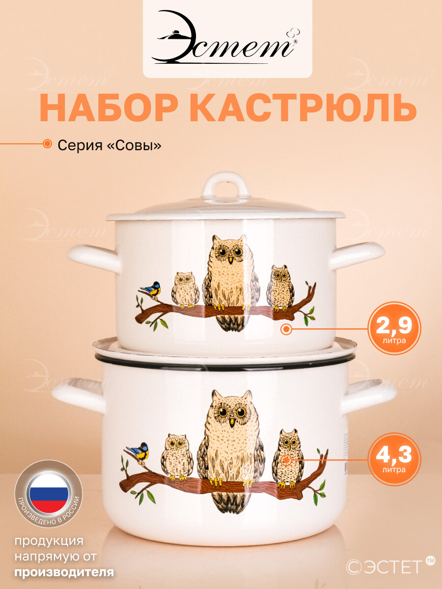 Кастрюля эмалированная с крышкой набор из 2-х 2,9 и 4,3 литра для всех типов плит