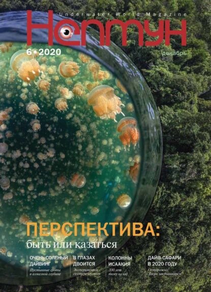Нептун №6/2020 [Цифровая книга]