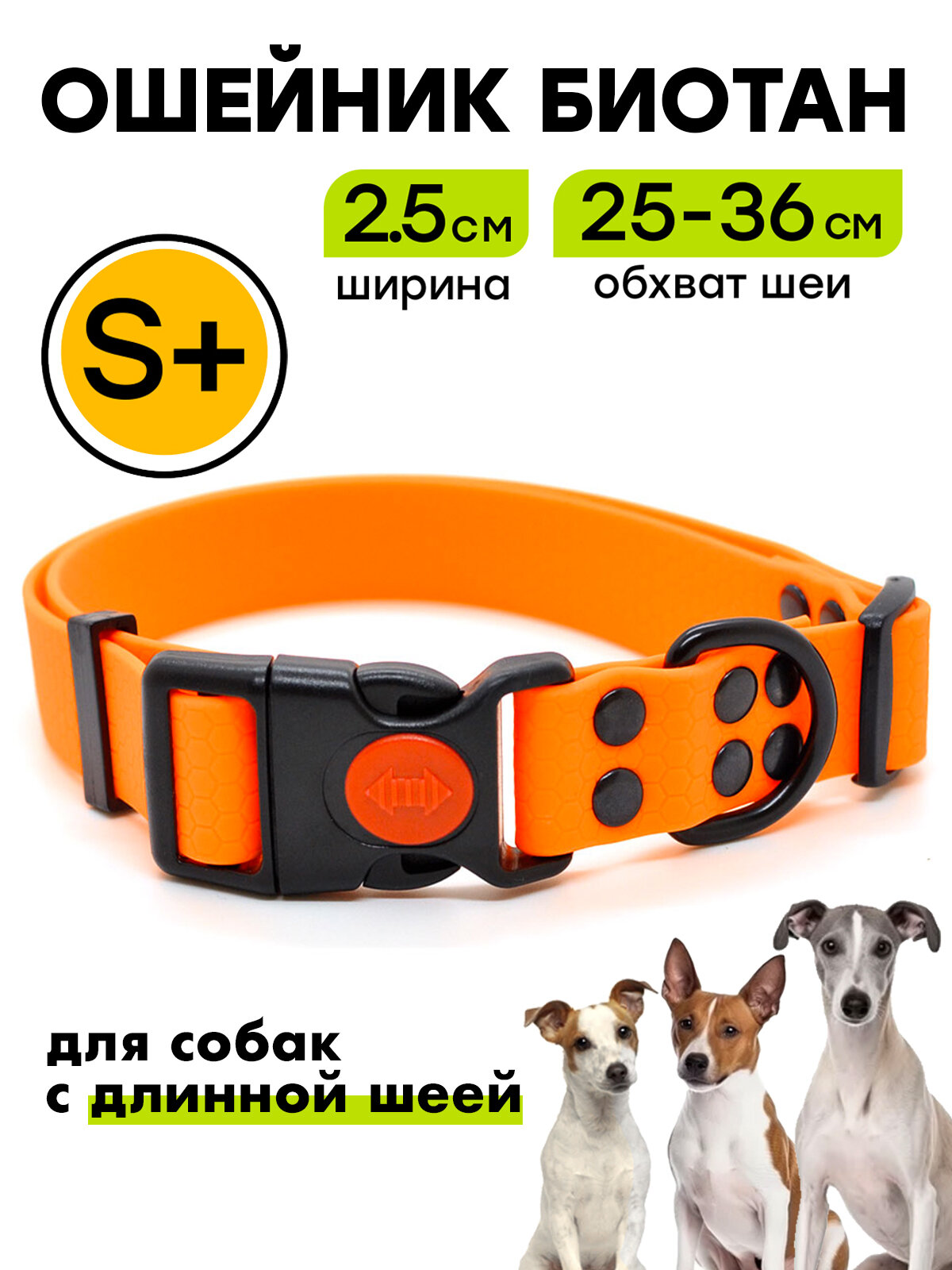 Ошейник из биотана 25-36 см (S+), 25 мм, Woofy "Iron", водостойкий, для небольших и средних собак, оранжевый