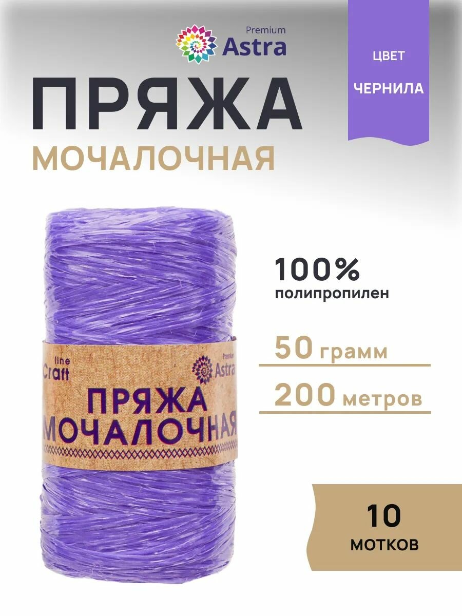 Пряжа для вязания Astra Premium 'Мочалочная' 50г, 200м (100% полипропилен) (чернила), 10 мотков
