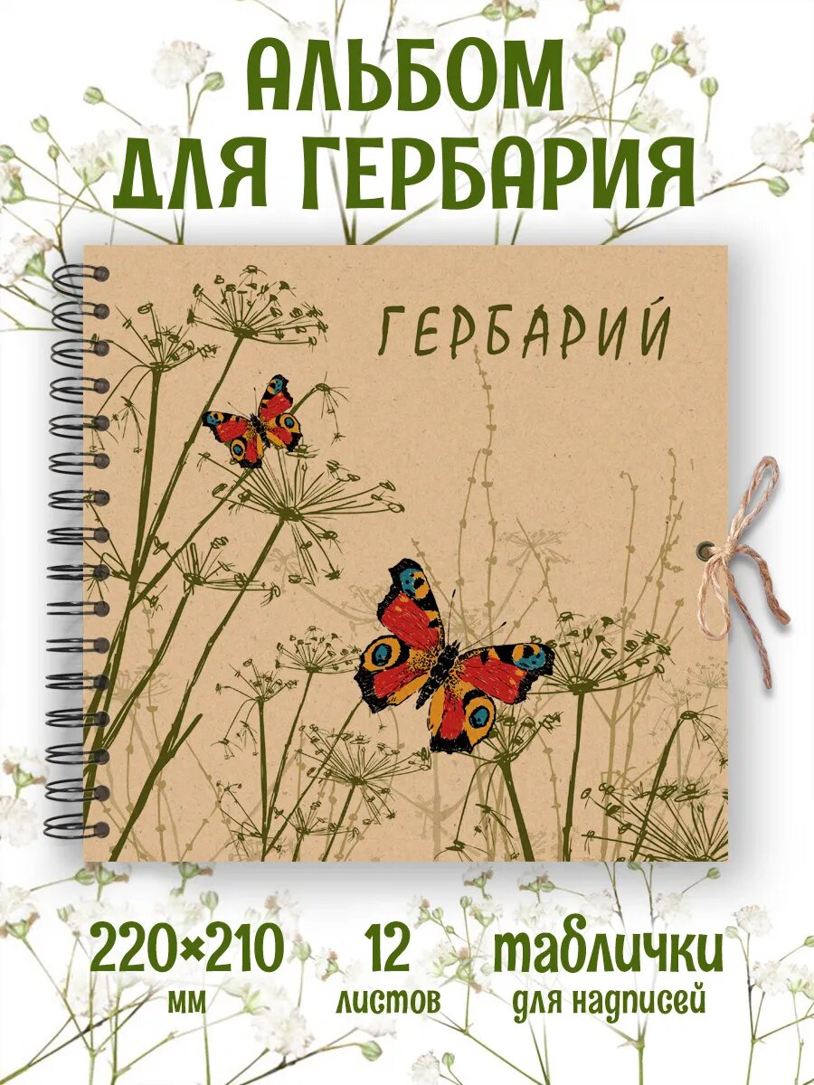 Альбом для гербария и творчества "Бабочки", на пружине, бежевый, 21х21 см