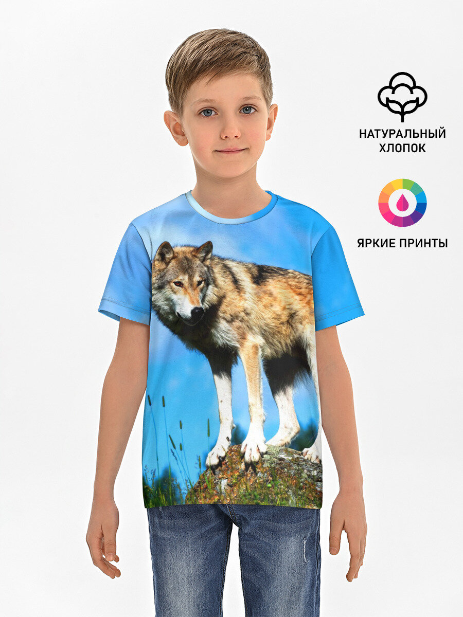 Футболка хлопковая детская Волк