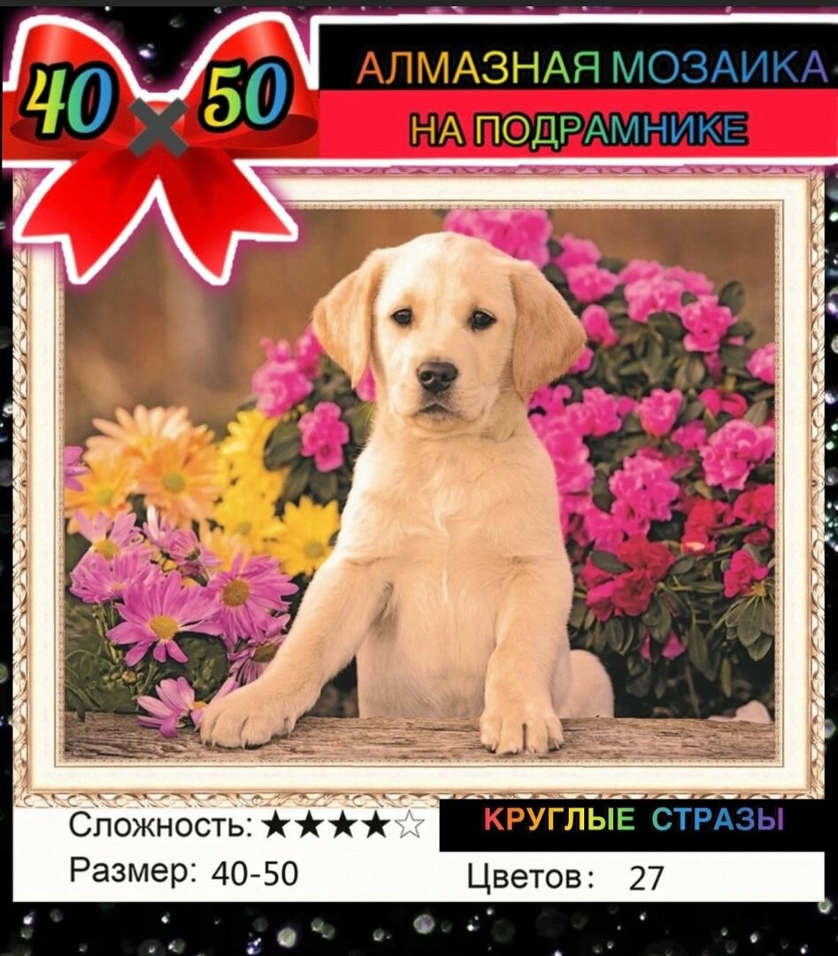 Алмазная мозаика 40*50 на подрамнике лабрадор, собачки