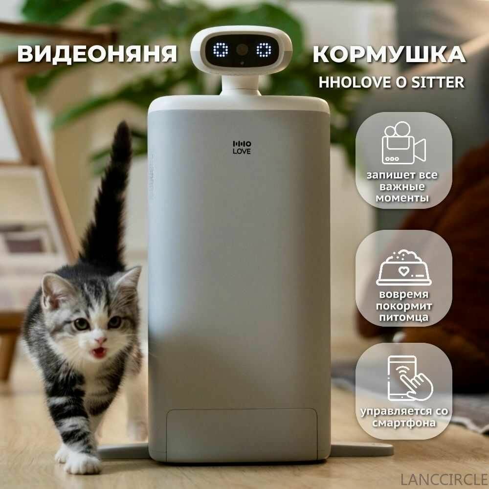 Видеоняня, автоматическая кормушка для кошек и собак Hholove O Sitter LANCCIRCLE