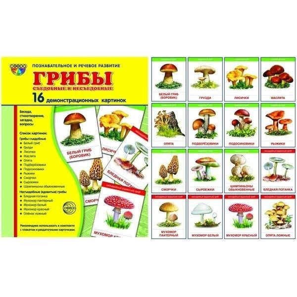 Набор обучающих карточек Сфера Познавательное и речевое развитие. Грибы съедобные и несъедобные. 16 демонстрационных картинок с текстом на обороте. 174х220 мм. 2022 год, Т. Цветкова