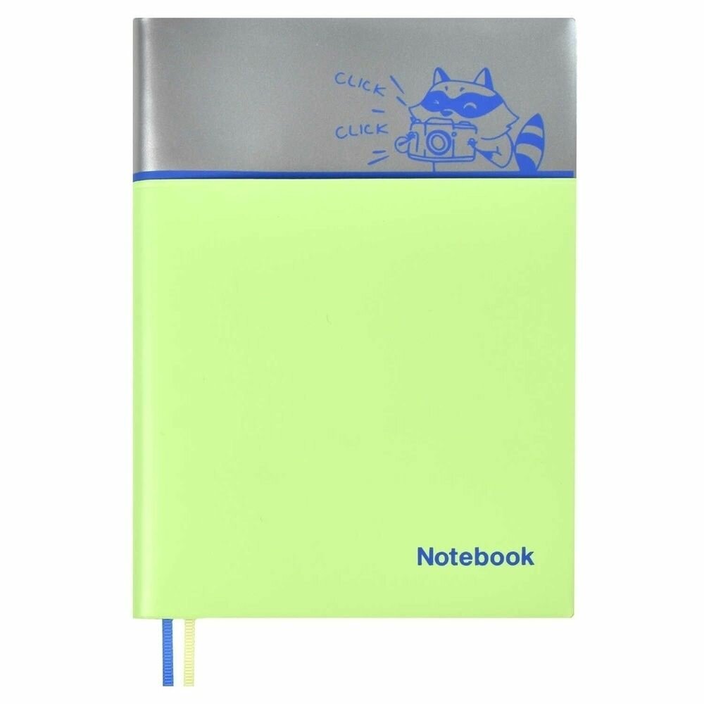 Записная книжка Феникс 96 листов А6+ линейка, Енот ПВХ съемная обложка, карман (52523)