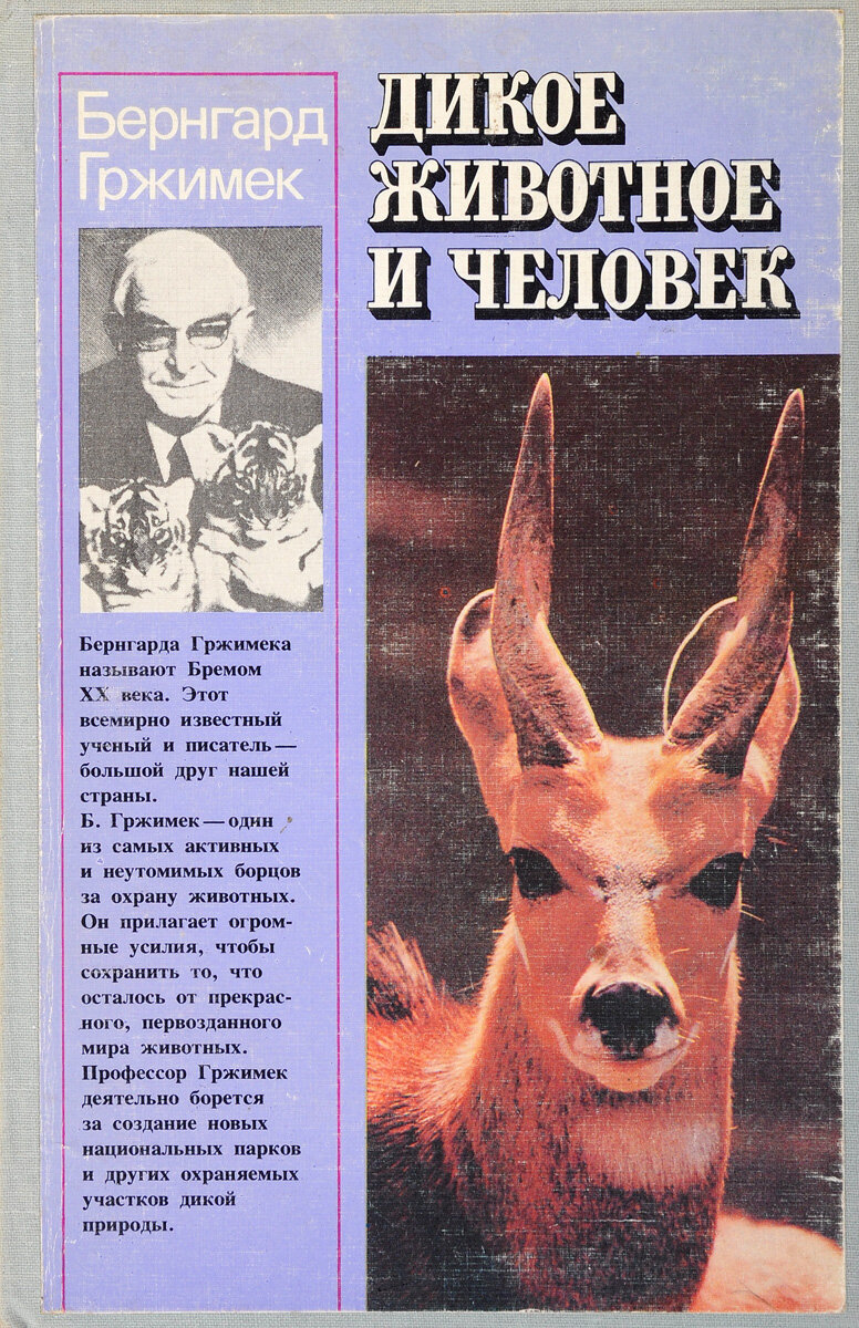 Дикое животное и человек