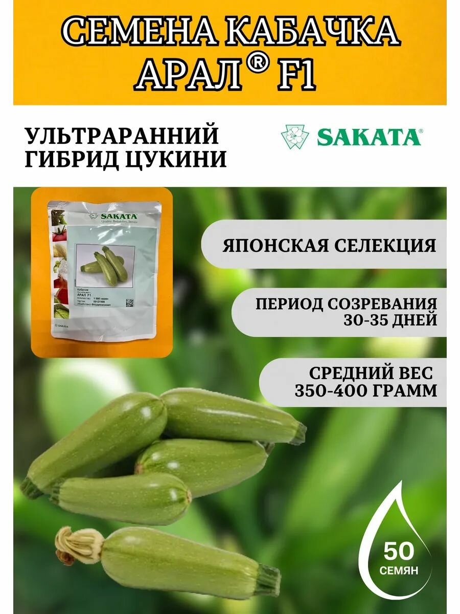 Семена кабачка Арал F1 50 штук