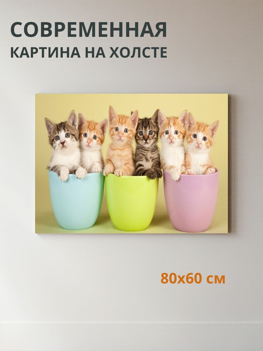 Картина на холсте Котята 80x60 см