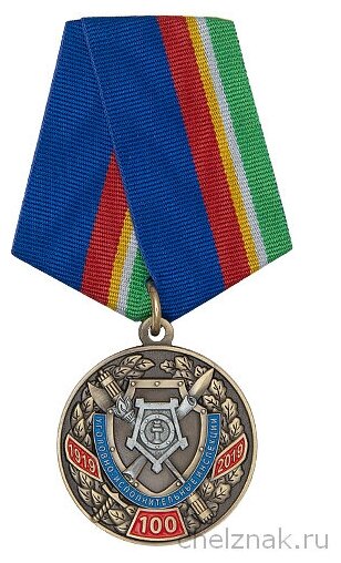 Медаль «100 лет уголовно-исполнительным инспекциям фсин России» с бланком удостоверения