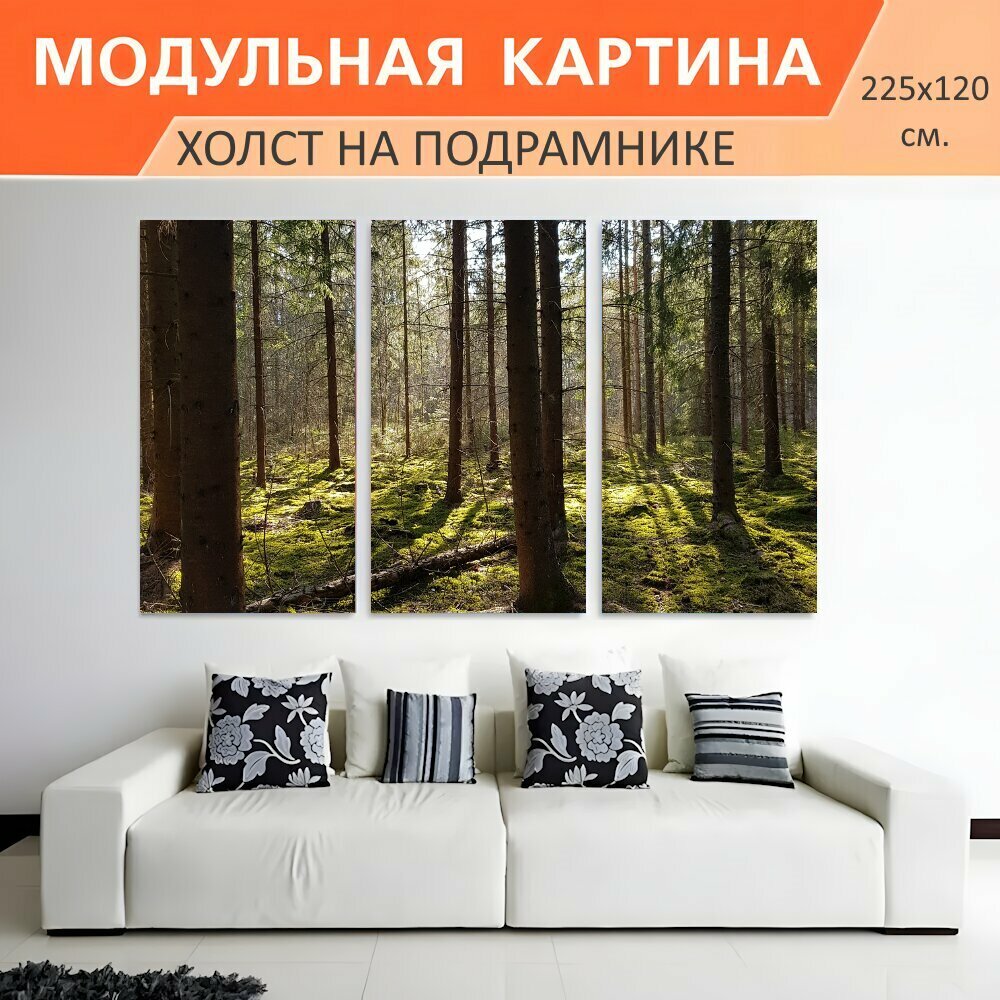 Модульная картина на холсте "Лес, дерево, природа" триптих на подрамнике 225х120 см. для интерьера