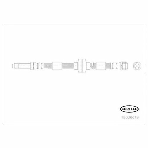 Шланг тормозной Corteco 19036619 для VW Transporter V