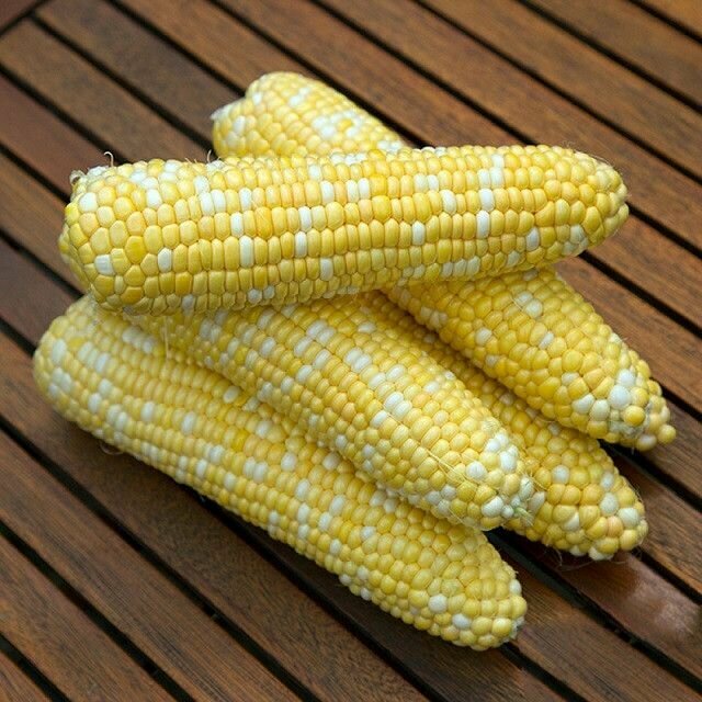 Семена Кукурузы "Ракель F1", 10 шт. семян