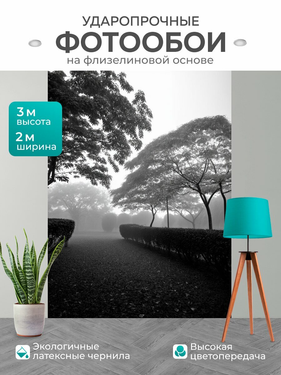 Фотообои моющиеся ударопрочные "Туман в стиле черно-белый, романтический сад с лиственными деревьями, скрытыми под туманом" 200x300 см. флизелиновые на стену