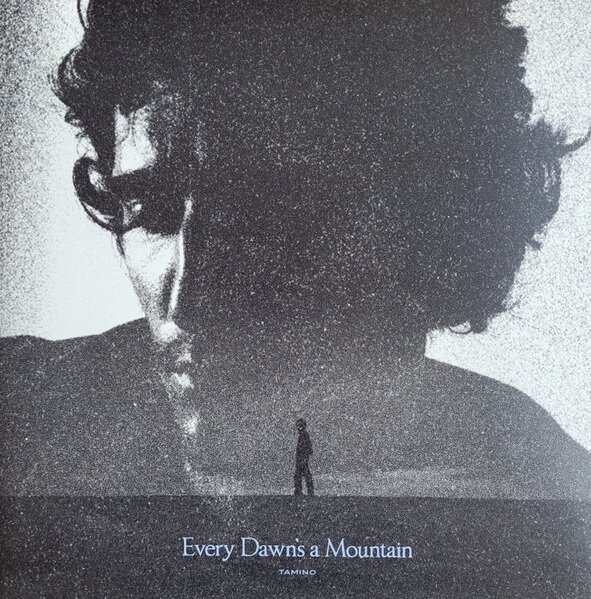 Tamino "Виниловая пластинка Tamino Every Dawn's A Mountain"