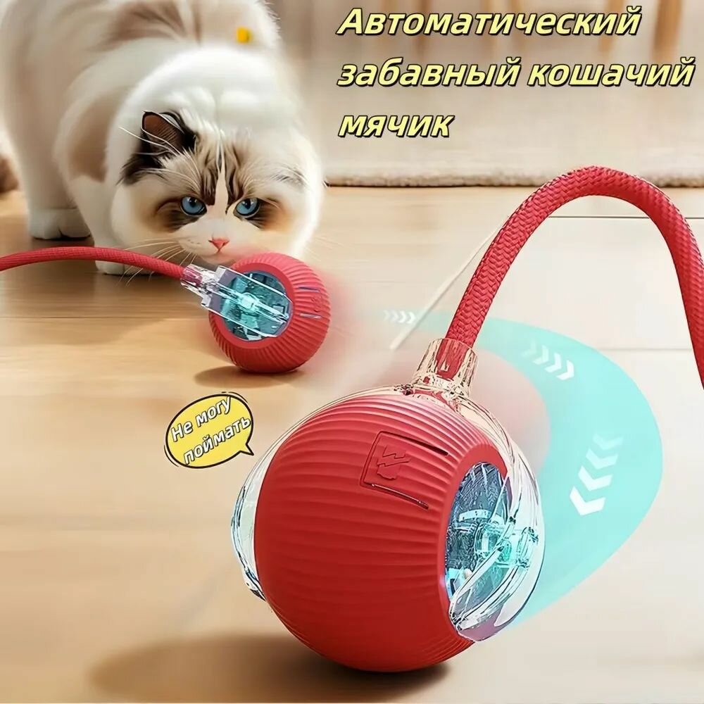 Автоматический забавный мяч для кошек, самоподдерживающийся-избавляет от скуки-с веревкой, товары для домашних животных