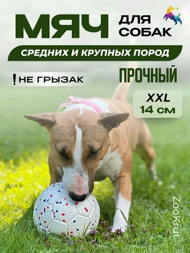 Мячик ZooKrut, для собак, средних и крупных пород, разноцветный, 14смZooKrut