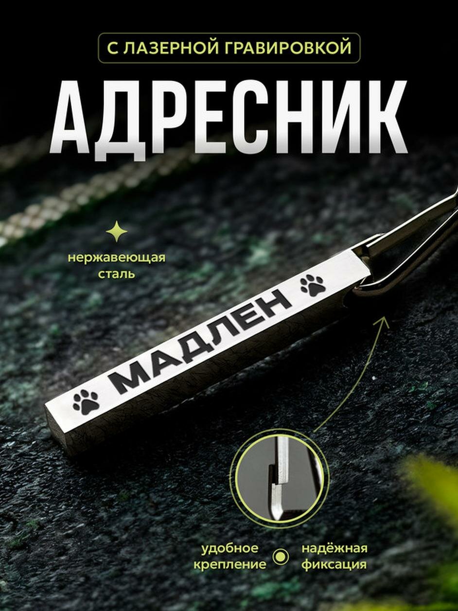 Адресник для собаки с гравировкой, нерж. сталь, серебристый, Мадлен
