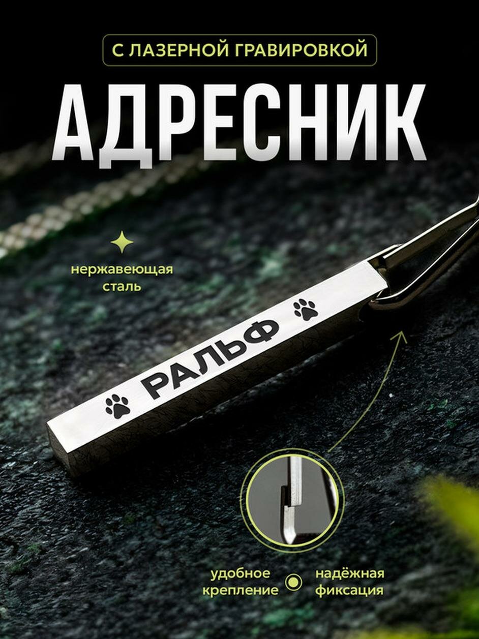 Адресник для собаки с гравировкой, нерж. сталь, серебристый, Ральф