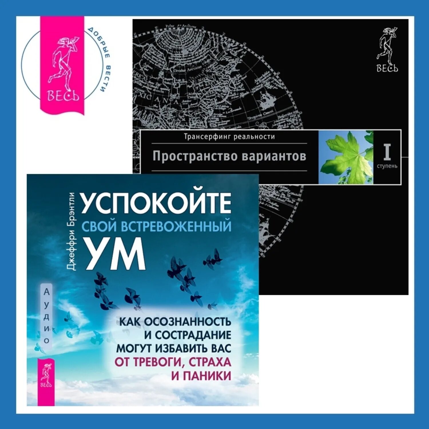Успокойте свой встревоженный ум. Трансерфинг реальности. Ступень I [Аудиокнига]