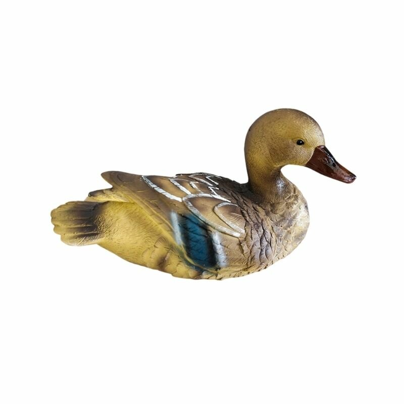 Украшение плавающей воды в бассейне утиного двора-самка утки