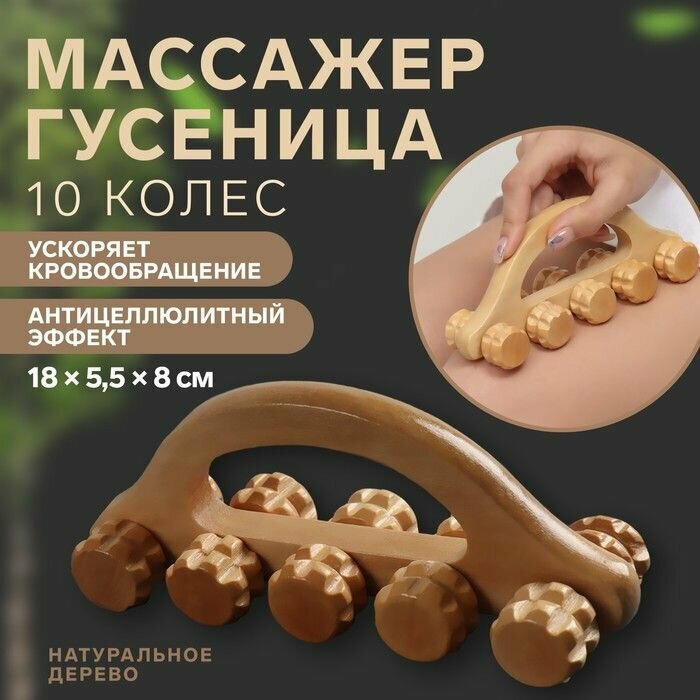 Массажёр Гусеница , 18 5.5 8 см, 10 колёс, деревянный