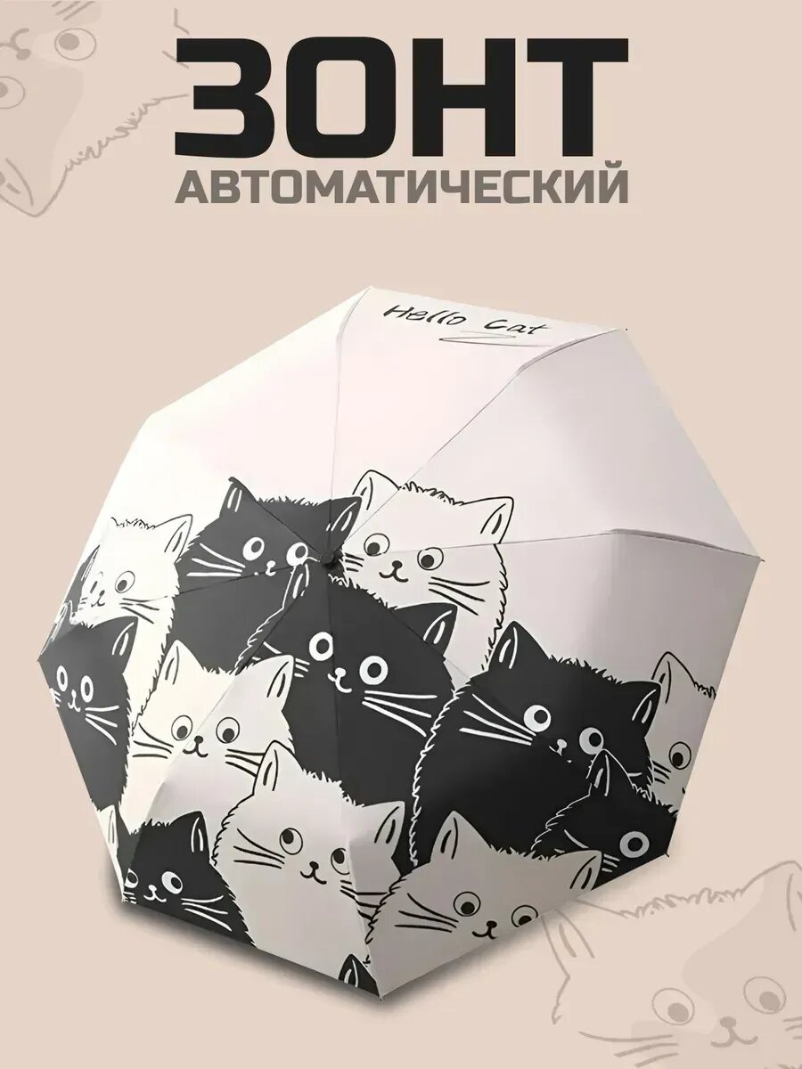 Зонт
