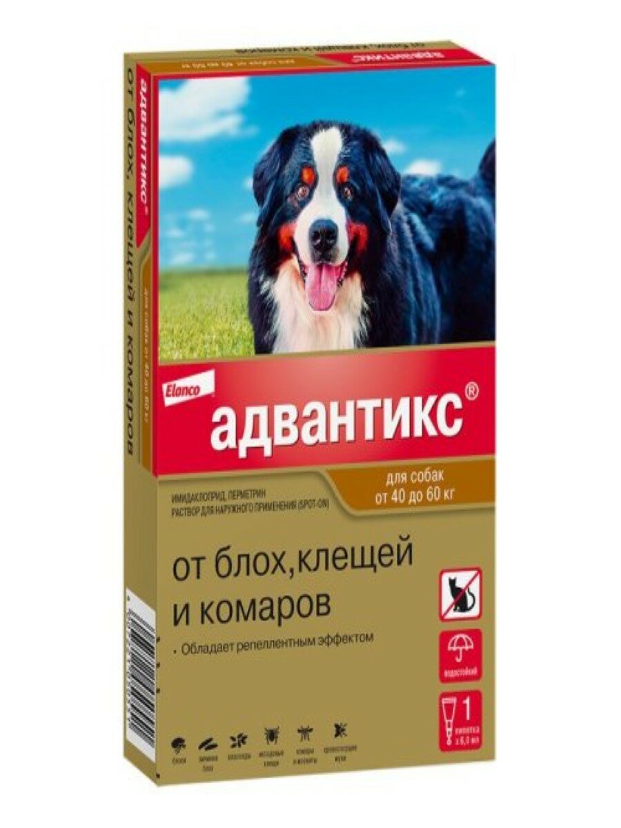 Bayer Больфо ошейник для кошек и мелких собак от эктопаразитов 38см