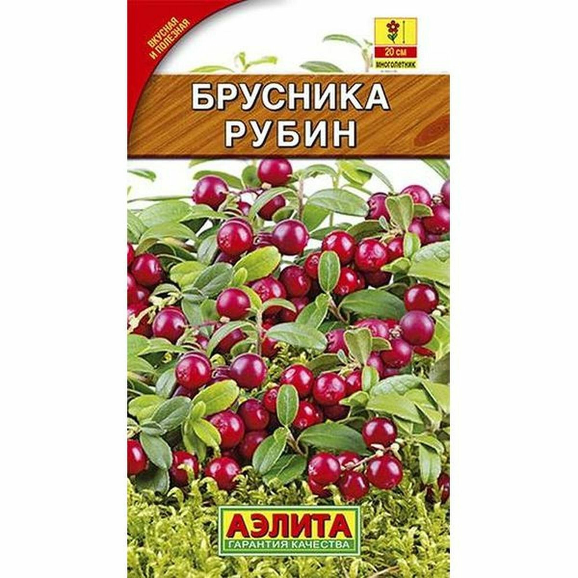 Семена Брусника Рубин, Аэлита, 1 пачка - 0.01г семян