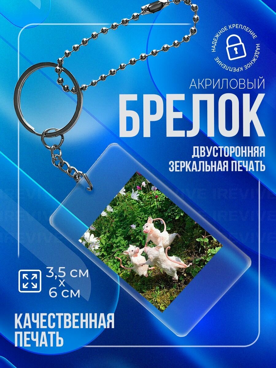 Брелок PNP