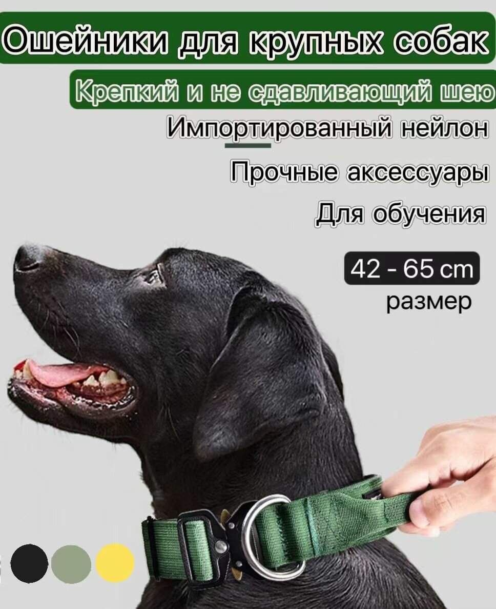 Ошейники для крупных собак, Крепкий и не сдавливающий шею, 42 до 65 см, зеленый-3-0