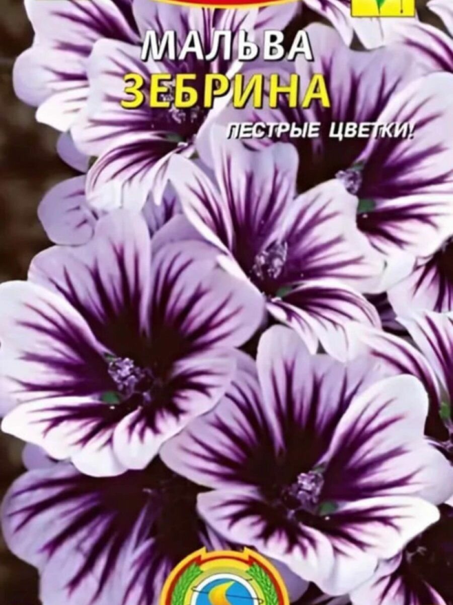 Мальва Зебрина 10 шт Плазменные семена