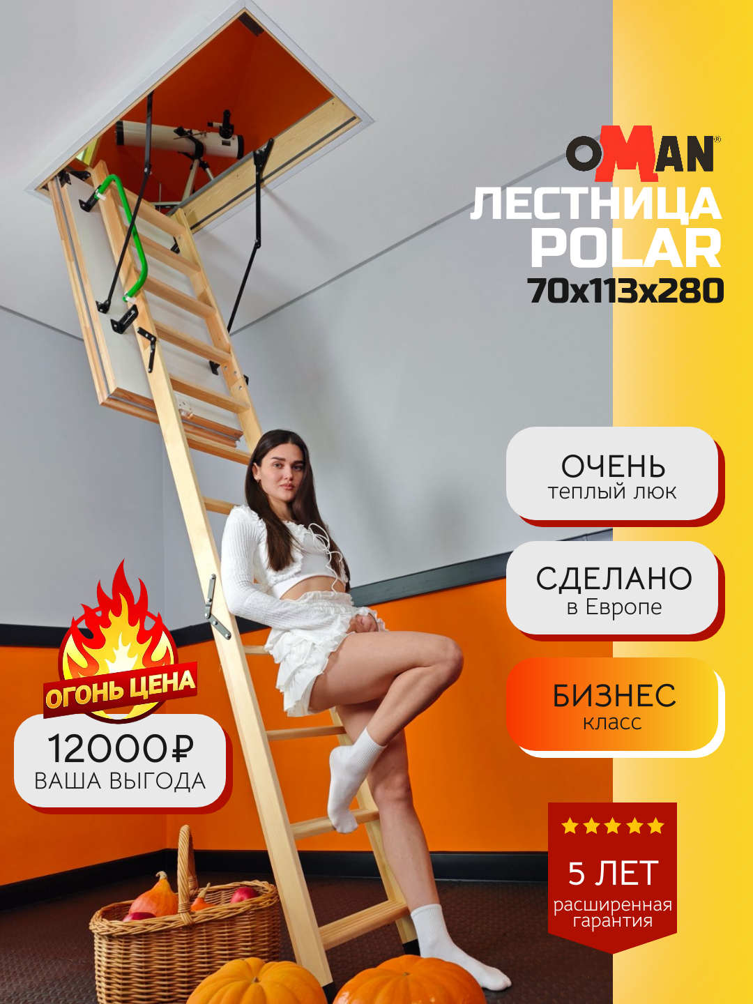 70х113 см, h-280 см OMAN POLAR Чердачная лестница с люком