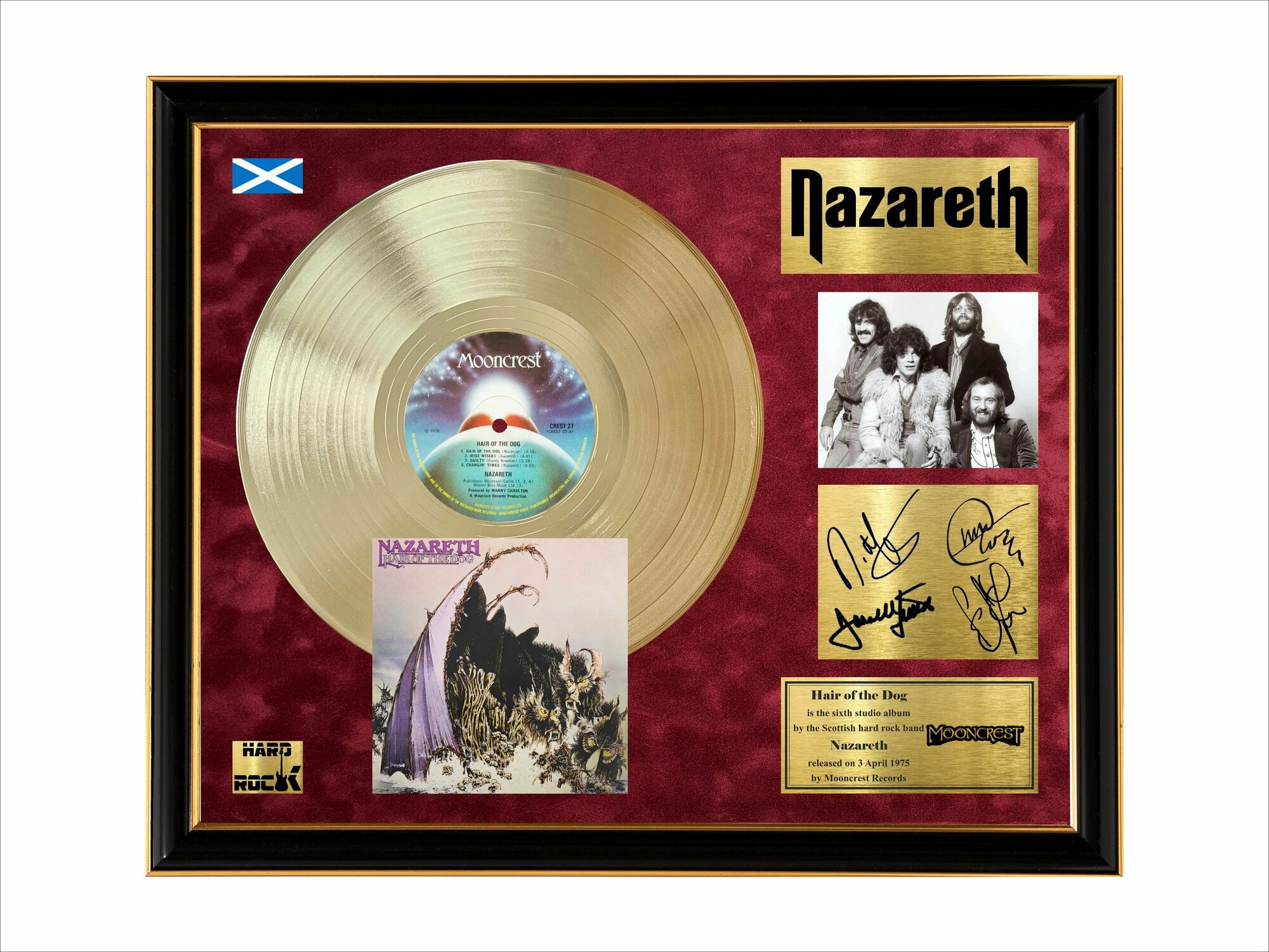 Картина Nazareth hair of the dog с золотой виниловой пластинкой и автографом в рамке