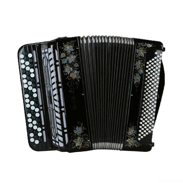 BN-53-BK Баян ученический двухголосный "Тула" 55х120/50-II, Тульская гармонь