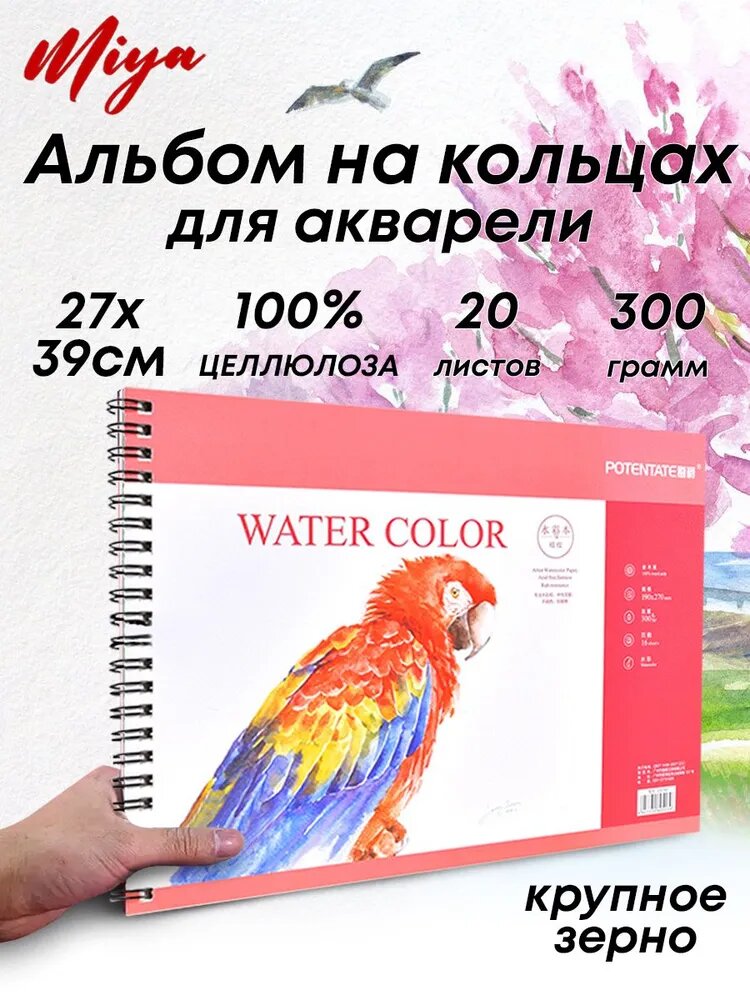 Альбом на кольцах для акварели Potentate 8К. 300г/кв. м 27х39мм 16л. на спирали. Крупное зерно, целлюлоза 020783