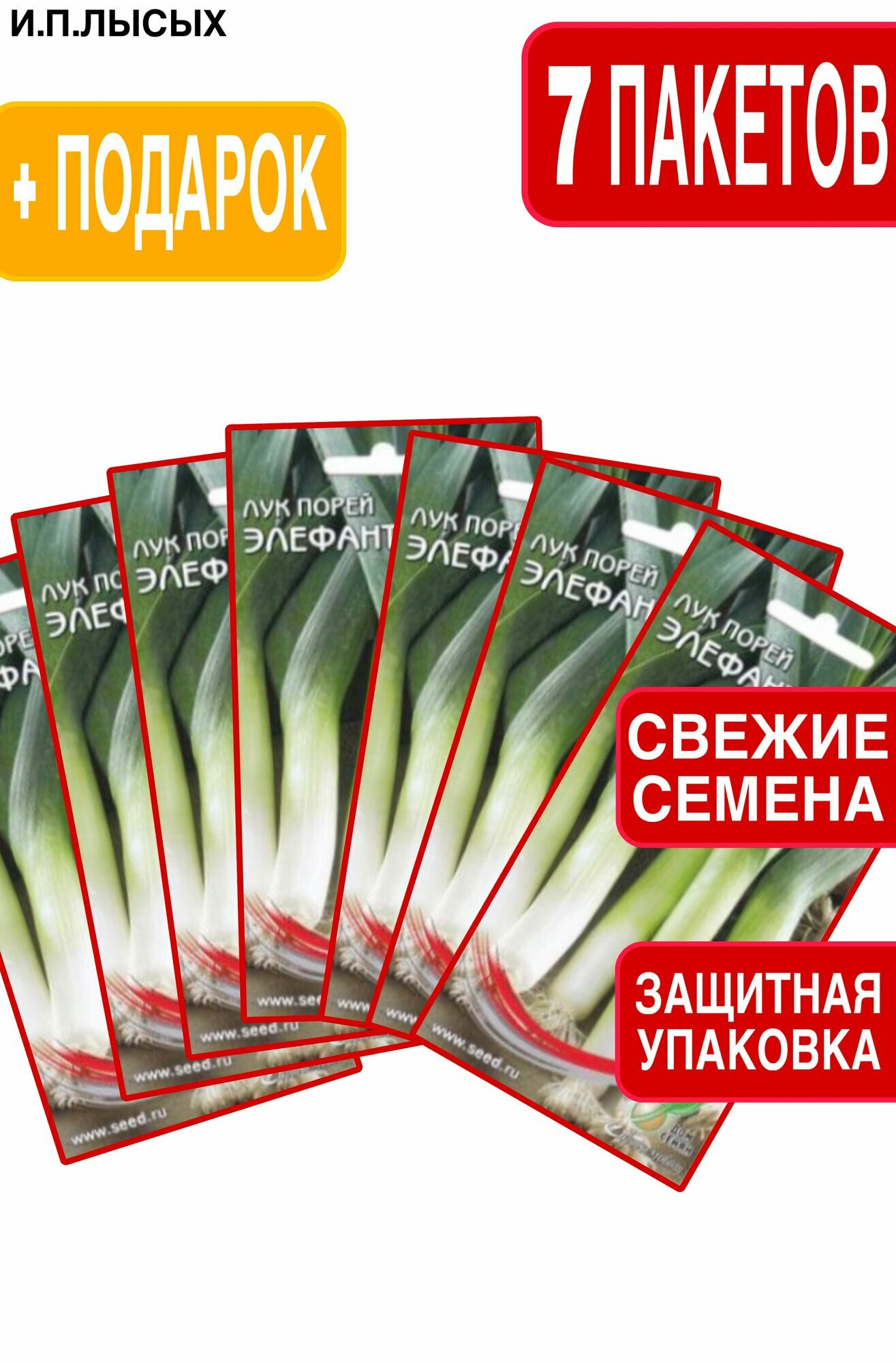 Семена лук порей "Элефант"