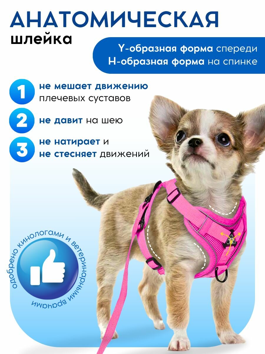 Шлейка