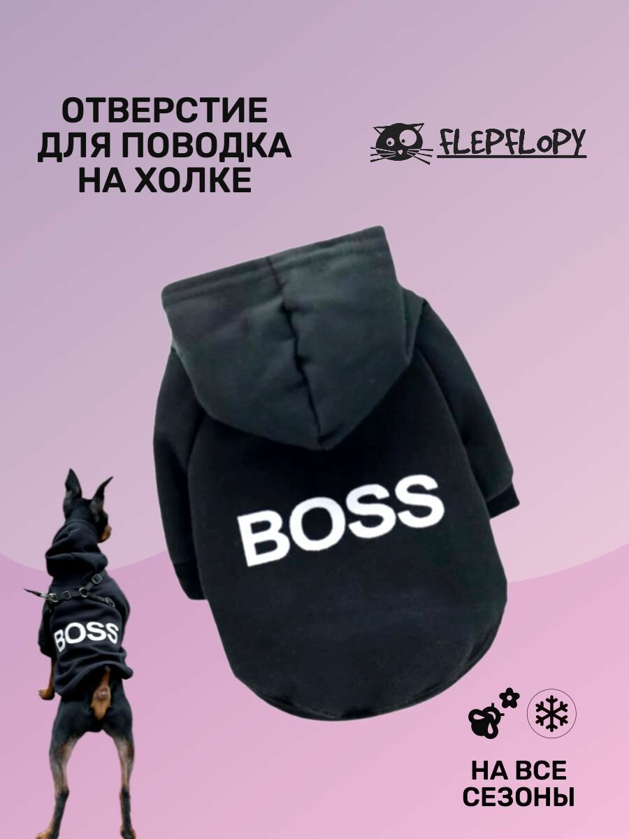 Одежда для животных — фото 1